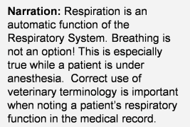 Unit 3 Respiratory System